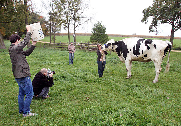 F5 - Bichos - Vaca de 1,93 m de altura entra para o Guinness como a ...