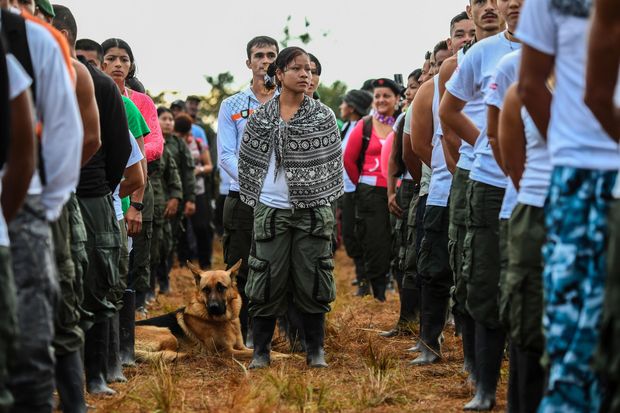 Satisfação será dizer que paz ganhou, afirma líder das Farc em ...