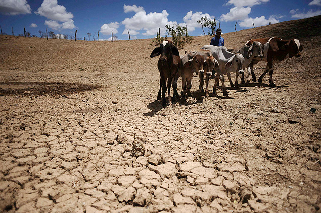 Folha de S.Paulo - Internacional - En - Brazil - 1 in Every 3 ...