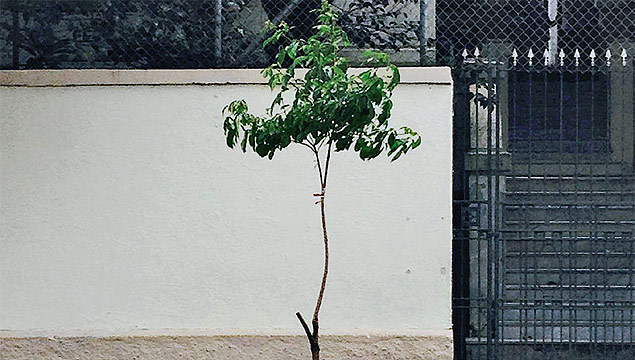 Criticidade: problemas, soluções e o olhar dos leitores - 27/10/2013 ...